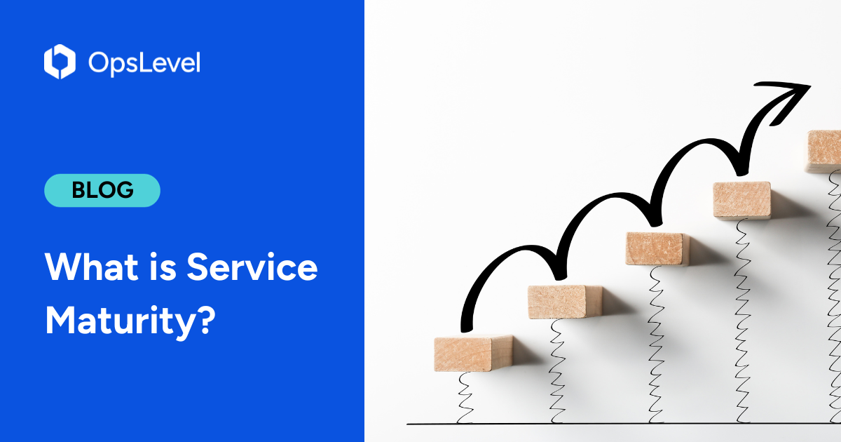 What is Service Maturity?